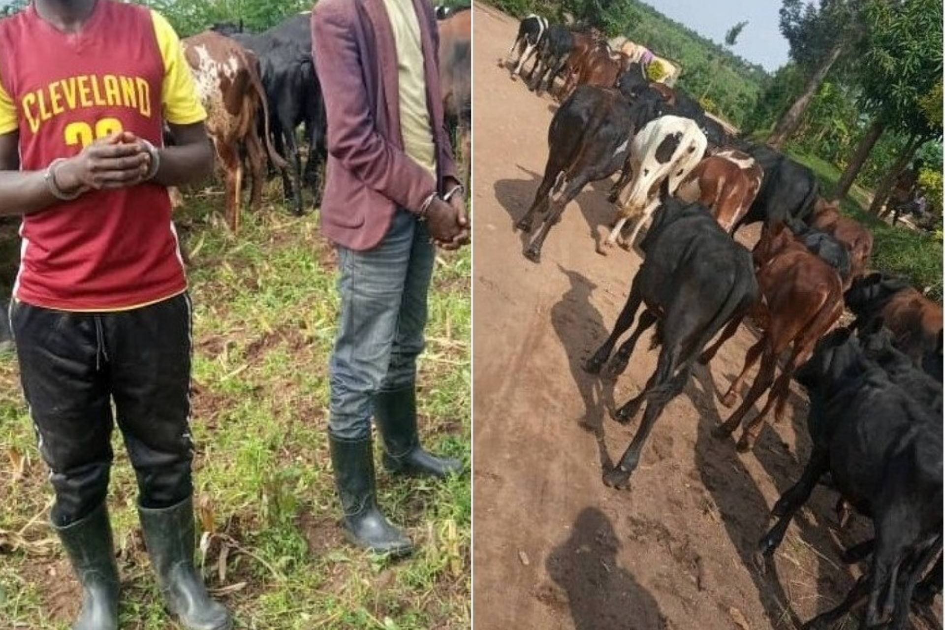 Bazambukanye umupaka mpaka no mu Rwanda: Abagabo 2 bagerageje kwiba ...