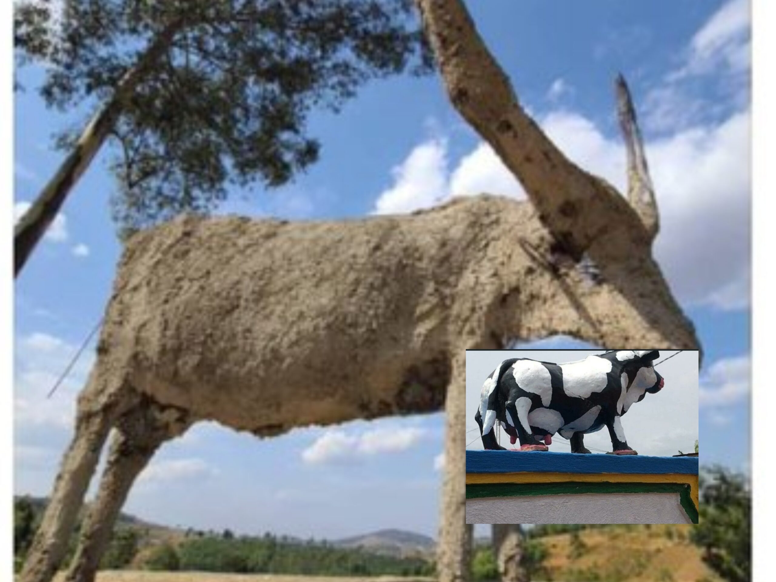 Hari imeze nk'isatura, Amafoto ya bimwe mu bibumbano by'inka uturere ...