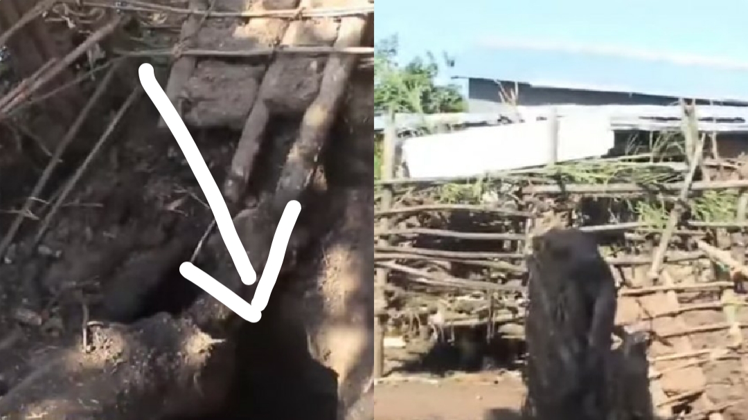 Ntabumuntu; Umukobwa w'imyaka 16 yabyaye umwana amuta mu musarani wa ...