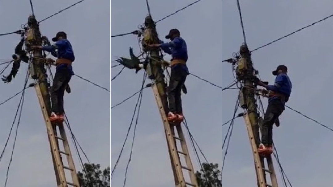 Umukozi wa REG yatabaye ikiyoni cyari kimaze iminsi 3 cyarafashwe ku ...