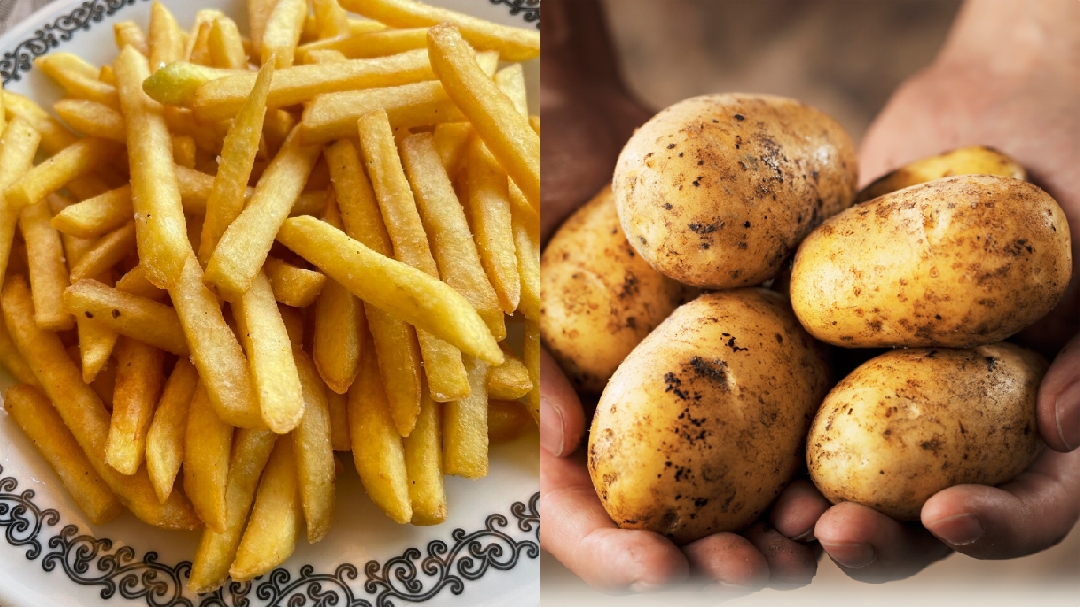 Ifiriti yabaye nka Zahabu! Abakunzi b'ifiriti n'ibirayi muri rusange ...