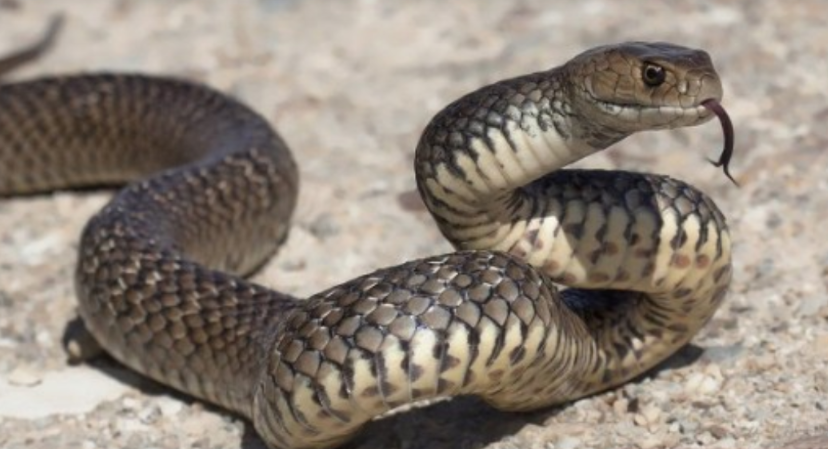 Birababaje! Umugore witwa Murwira Juliet yeruye atangaza uburyo yamaze ...